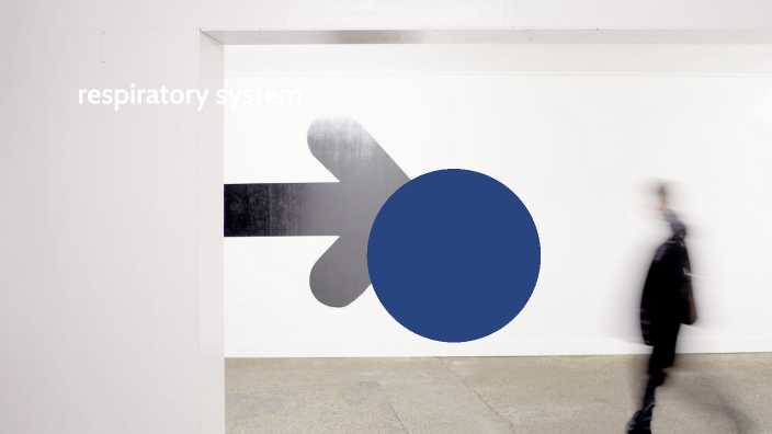 respiratory system by Tristan Locklear on Prezi