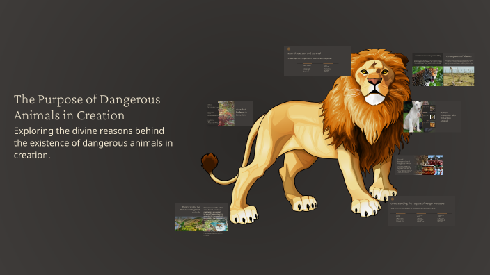 The Purpose of Dangerous Animals in Creation by Deon Jefferson on Prezi