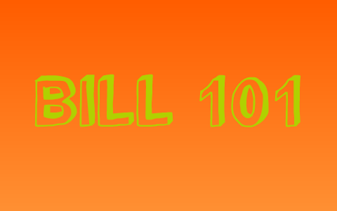 Bill 101 by julie krkljus