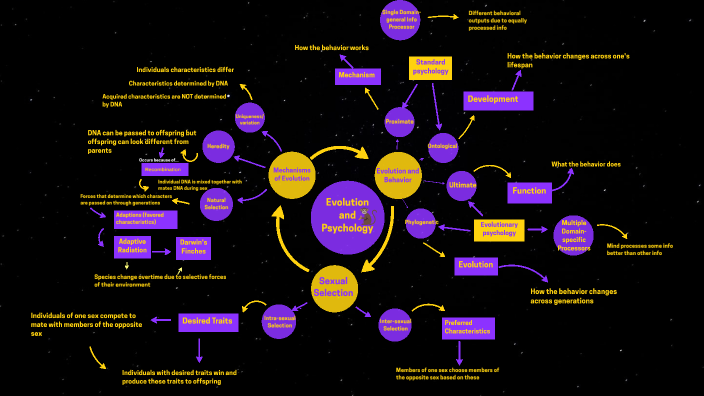 Evolution and Psychology Concept Map by Ana Zivanovic on Prezi