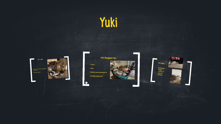 Yuki by mitchell meerts on Prezi