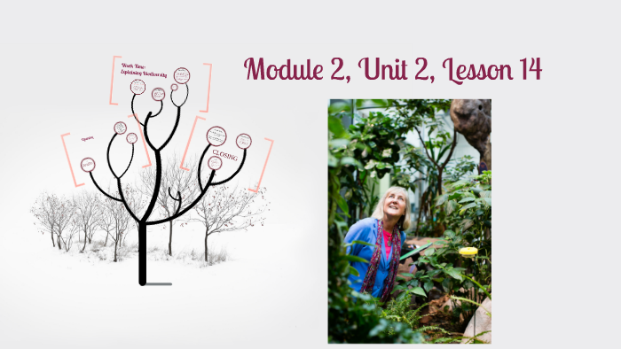Module 2, Unit 2, Lesson 14 by John Pufky on Prezi