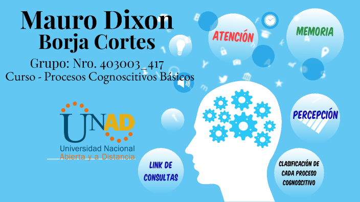 Estructuras Cerebrales Relacionadas Con El Proceso De Atención