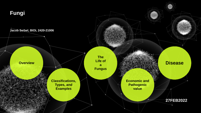 Fungi by Jacob Seibel on Prezi