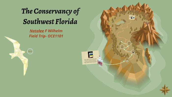 The Conservancy of Southwest Florida by Natalee Wilhelm on Prezi
