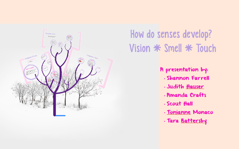 Development- Vision, Smell, Touch by on Prezi