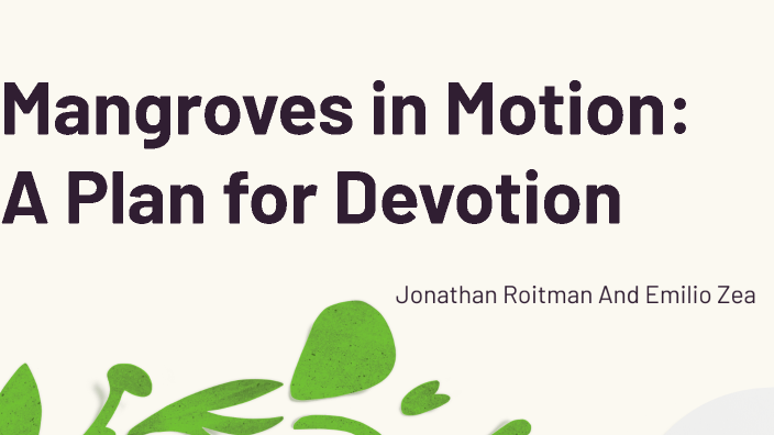 Mangrove Solution by Jonathan Roitman on Prezi