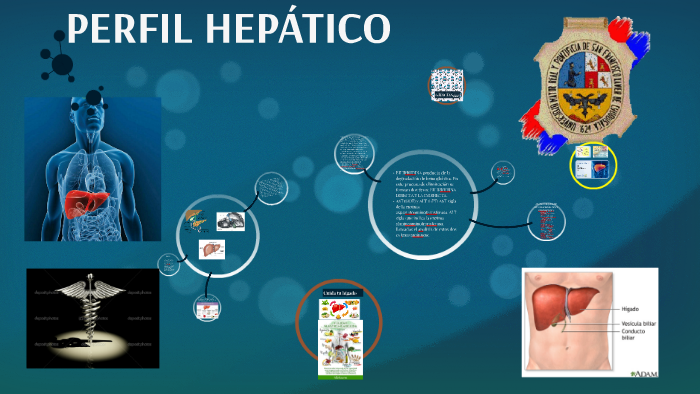 Perfil Hepático by Julio Cesar Arancibia Puma on Prezi