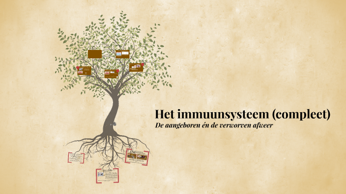 Afweer Het Immuunsysteem Aangeboren En Verworven Afweer By Denny