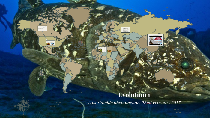 Evolution by Harvey Buckle on Prezi