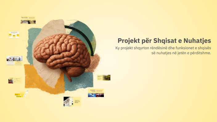 Projekt për Shqisat e Nuhatjes by Leki 12 on Prezi