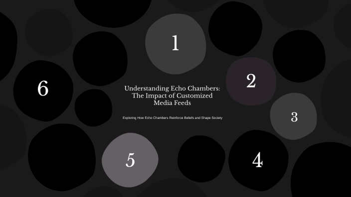 Understanding Echo Chambers: The Impact of Customized Media Feeds by Ho ...