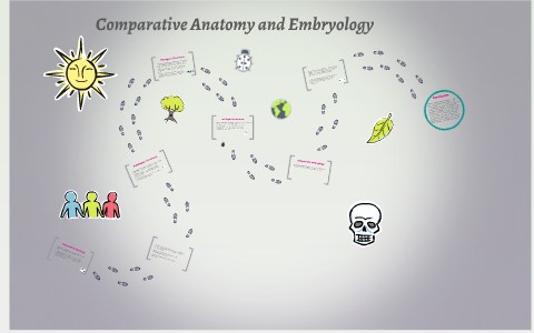 Comparative Anatomy and Embryology by kamuran yalcin on Prezi