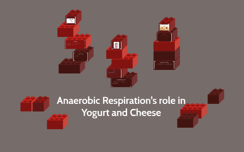 Anaerobic Respiration's role in Yogurt and Cheese by McKenzie Benz on Prezi