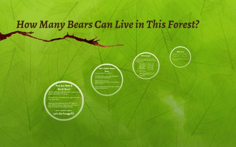 How Many Bears Can Live in This Forest? by Jessica Lindeman on Prezi