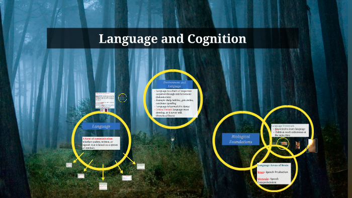 Language and Cognition by Becky Waller on Prezi