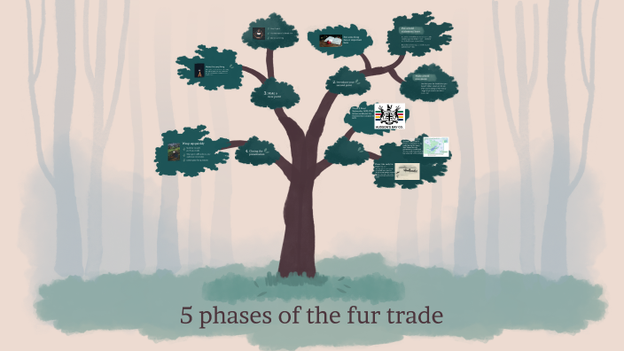5 phases of the fur trade by Shay B on Prezi