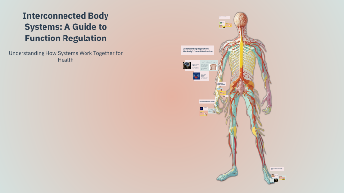 Interconnected Body Systems: A Guide to Function Regulation by lizzie ...