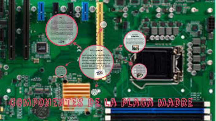 componentes de la placa madre by joy infante on Prezi