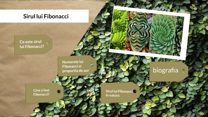 Sirul lui Fibonacci by Alexandra Alba on Prezi