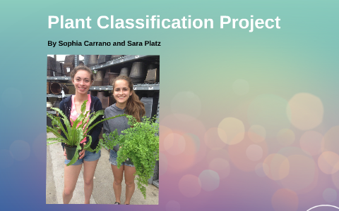 Plant Classification Project by S Platz