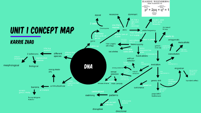 Digital Concept Map by Karrie Zhao on Prezi