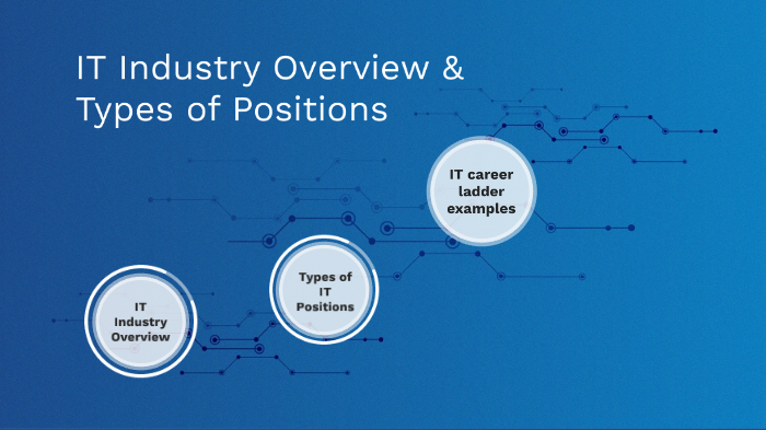 IT Industry Overview & Types of Positions by Tetiana Shyrina on Prezi