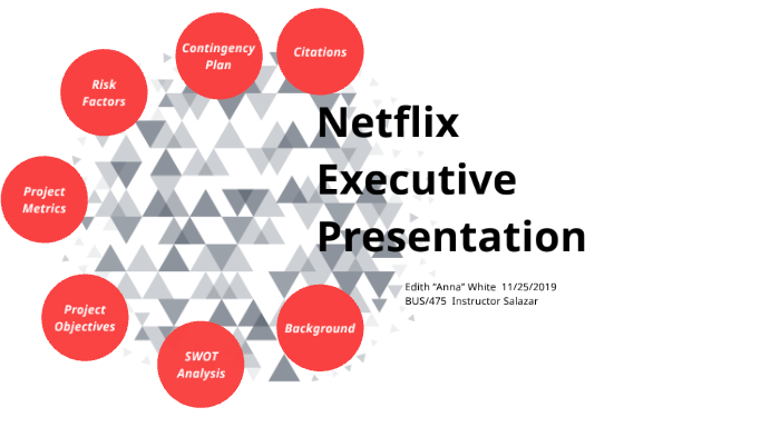 Netflix Executive Presentation by Envy Anna White on Prezi