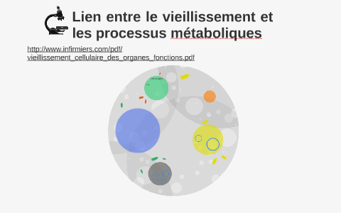 Lien entre le vieillissement et les processus métaboliques by Patrice Bonin