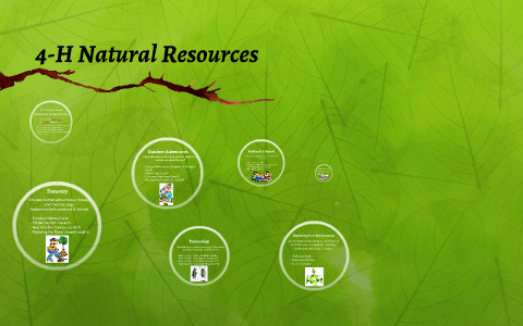 4-H Natural Resources by Meagan Hash on Prezi