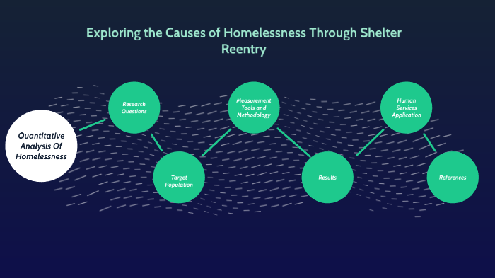 Exploring the Causes of Homelessness Through Shelter Reentry by Holly ...