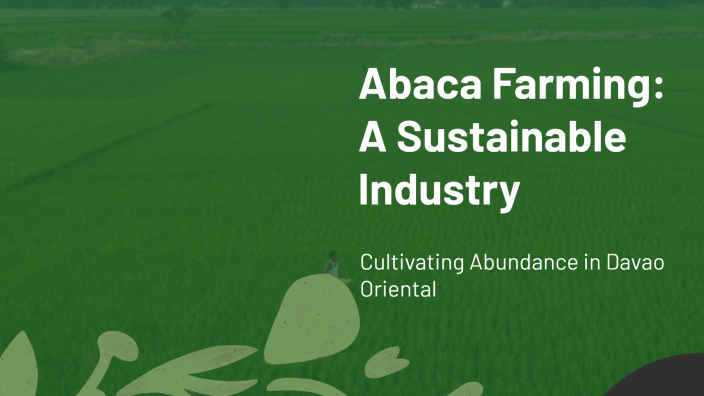 Abaca Farming: A Sustainable Industry by 양고양 on Prezi