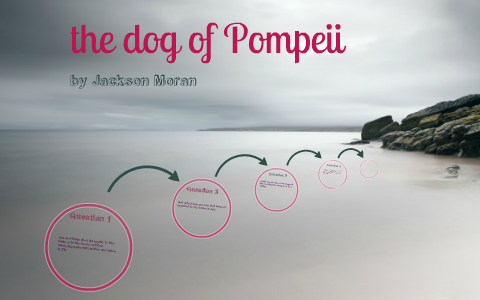 the dog of pompeii by nick dubble on Prezi