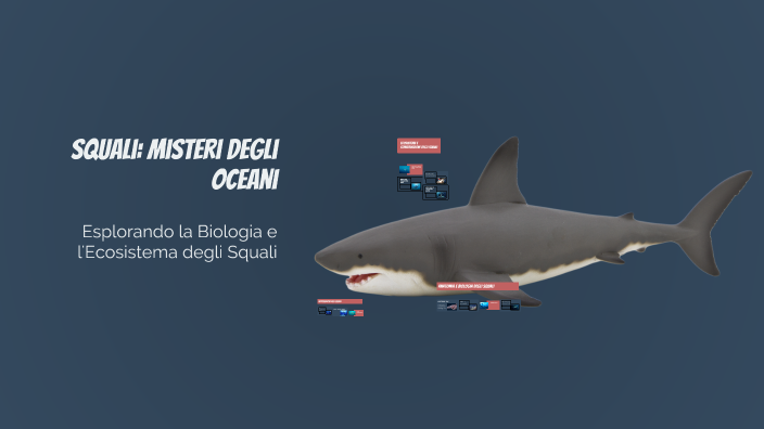 Squali: I Signori degli Oceani by Valentina Melone on Prezi