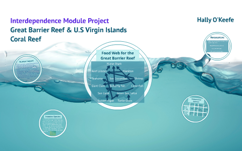 Food Web for the Great Barrier Reef by Hally O'Keefe on Prezi