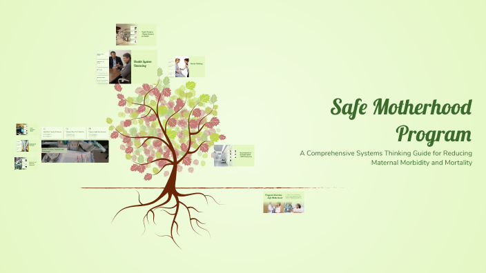 Safe Motherhood Program by Stephani Millares on Prezi