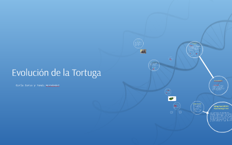 Evolución de la Tortuga by Tomás Hernández Duque on Prezi
