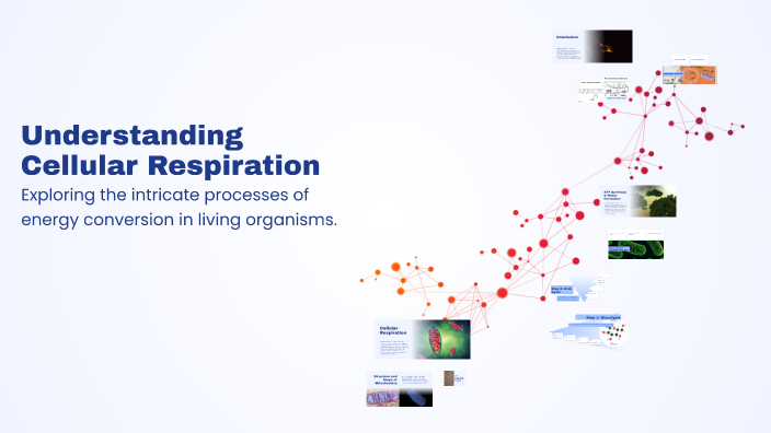 Understanding Cellular Respiration by Shiela marie Balabag on Prezi