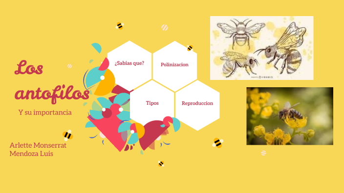 Los antofilos by ARLETTE MONSERRAT MENDOZA LUIS on Prezi