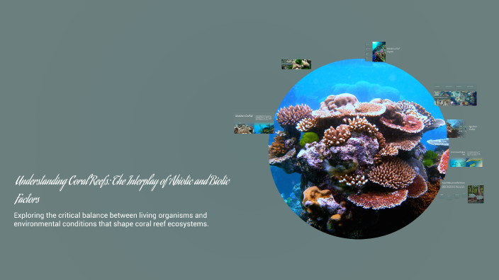 Understanding Coral Reefs: The Interplay of Abiotic and Biotic Factors ...