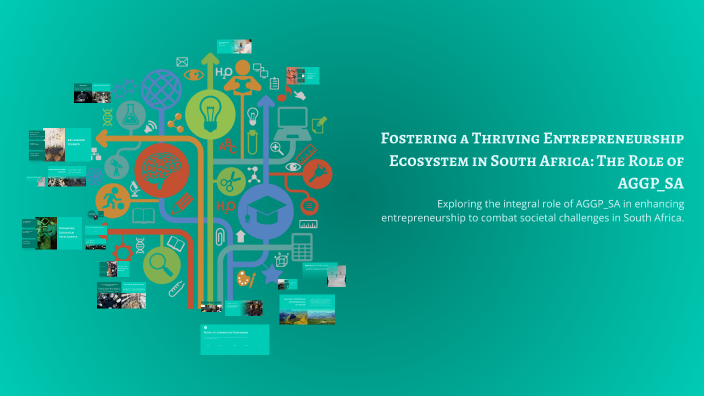 Fostering a Thriving Entrepreneurship Ecosystem in South Africa: The ...