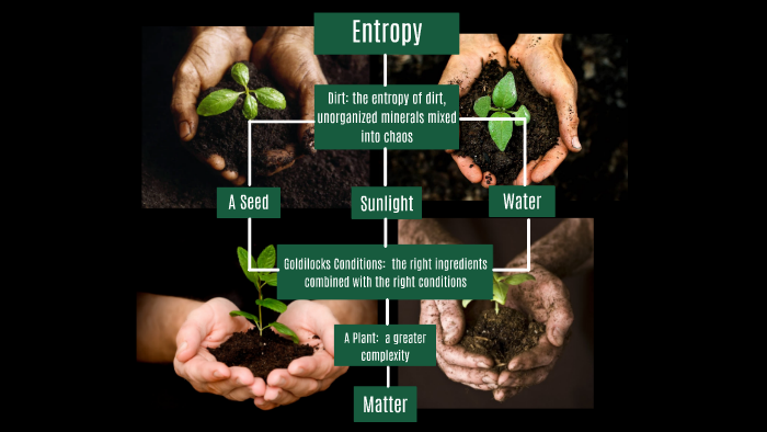 Matter overcoming Entropy by brianna halladay on Prezi