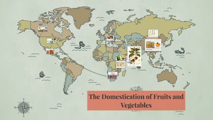 The Domestication of Fruits and Vegetables by Kenneth Woodson