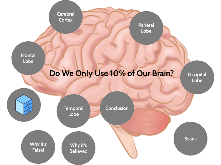 10% of the Brain by Ryan John on Prezi