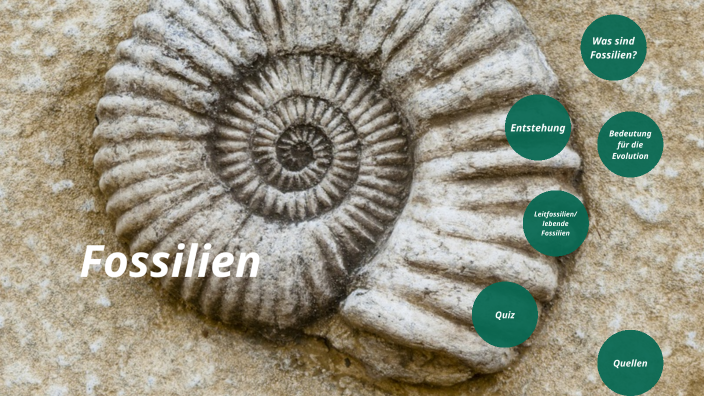 Fossilien by Valentin Breitler on Prezi