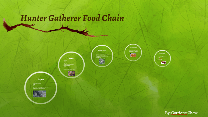 Hunter Gatherer Food Chain by Catriona Chew on Prezi