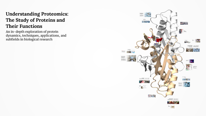 Understanding Proteomics: The Study of Proteins and Their Functions by ...