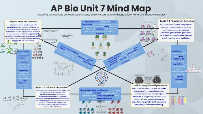 AP Bio Unit 6 Study Map by Isabela Rosales on Prezi