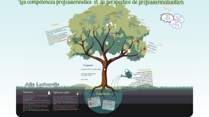 Les compétences professionnelles et la perspective de ...
