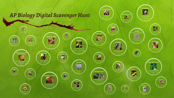 AP Biology Digital Scavenger Hunt by Lisa Quang on Prezi